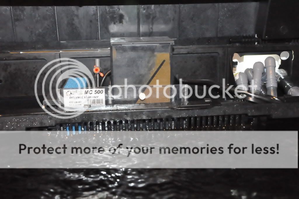 Deltec mc500 and Red Sea 250