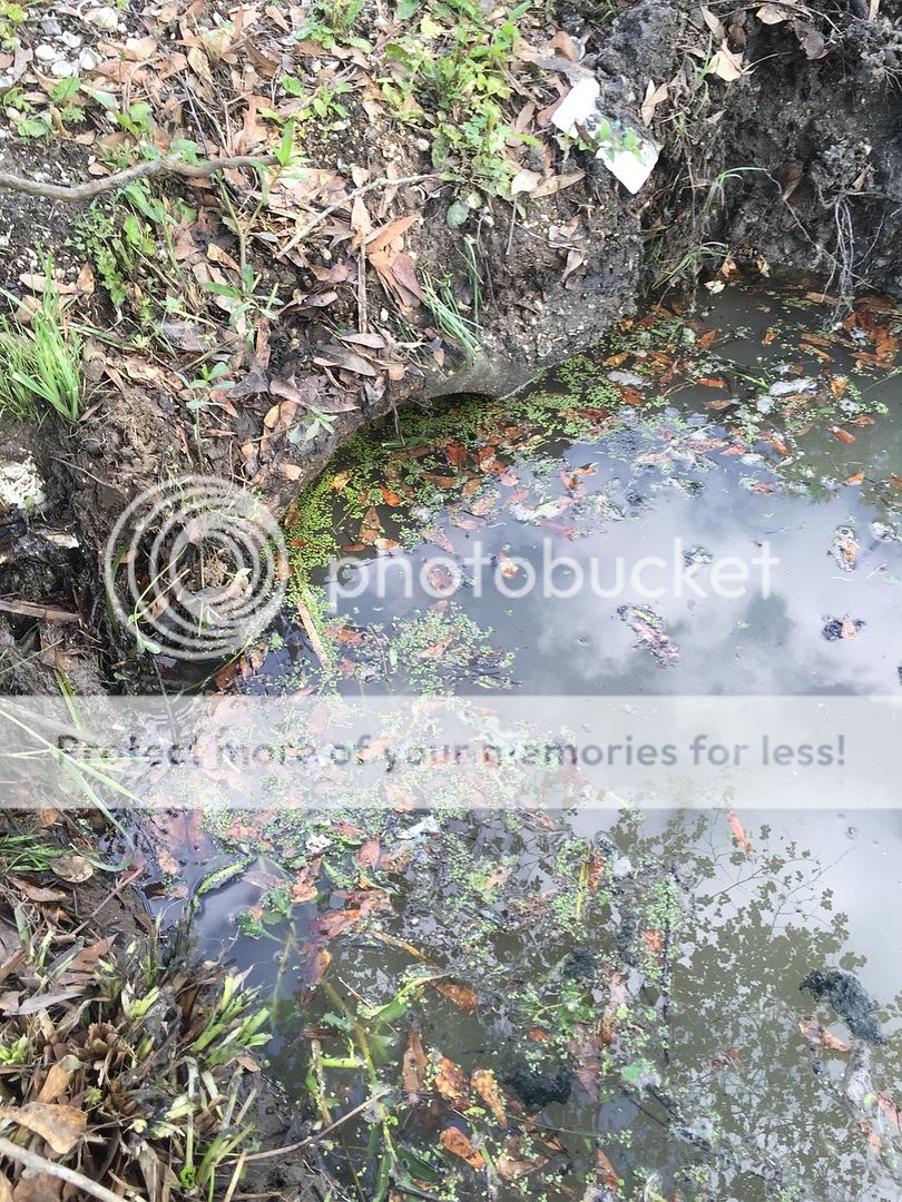 Advice/Ideas to clean out clogged cement culvert, under a driveway ...